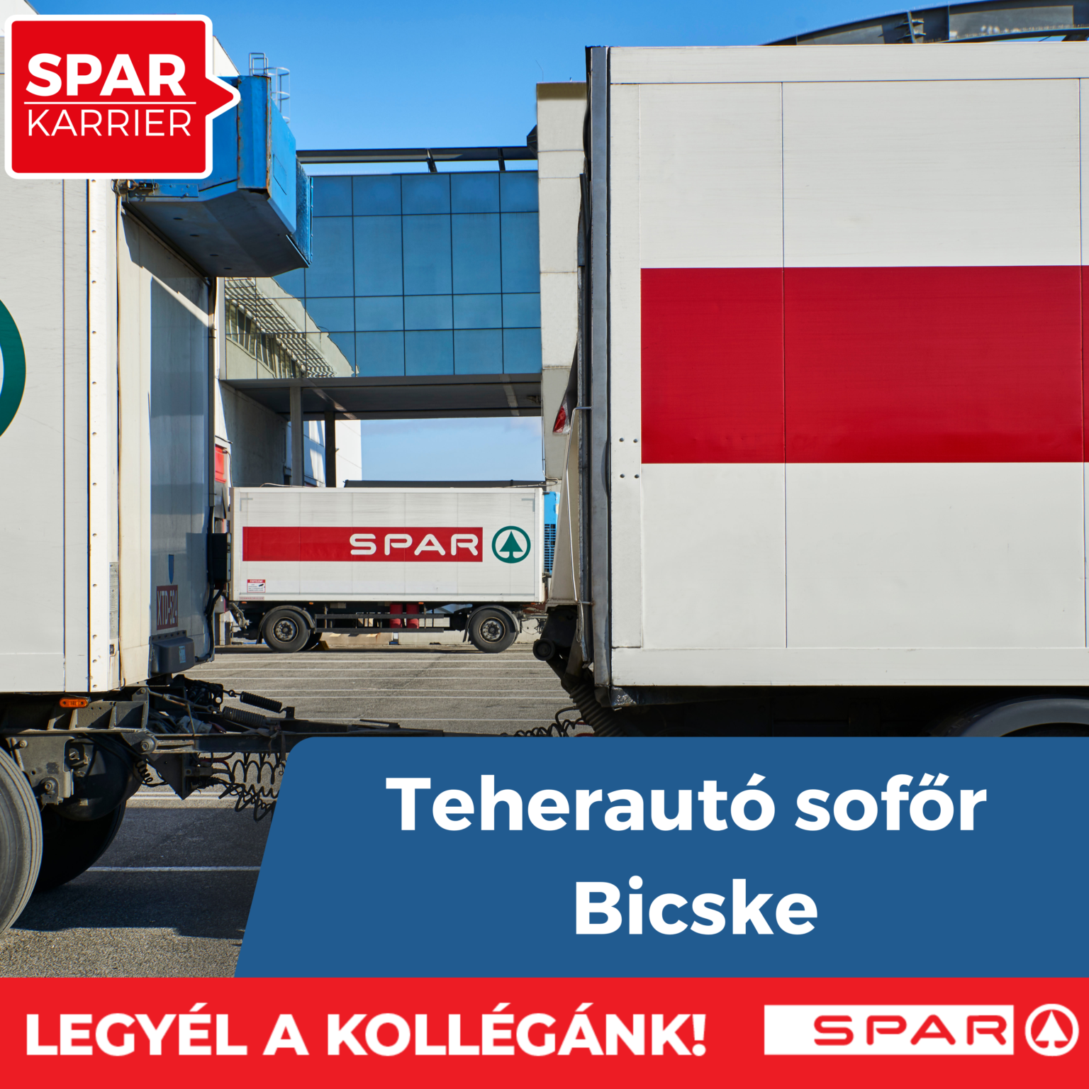 soforallas.com | Legtöbb belföldi és nemzetközi sofőr állás egy helyen